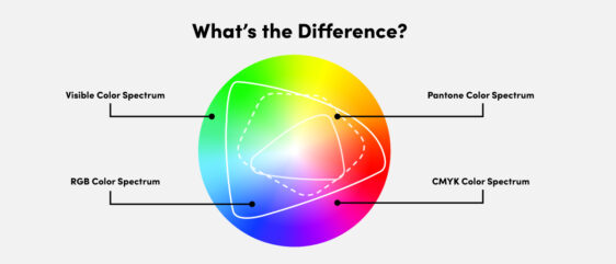 Unlocking the Science of Color Profiles: A Guide to RGB, CMYK, & PMS